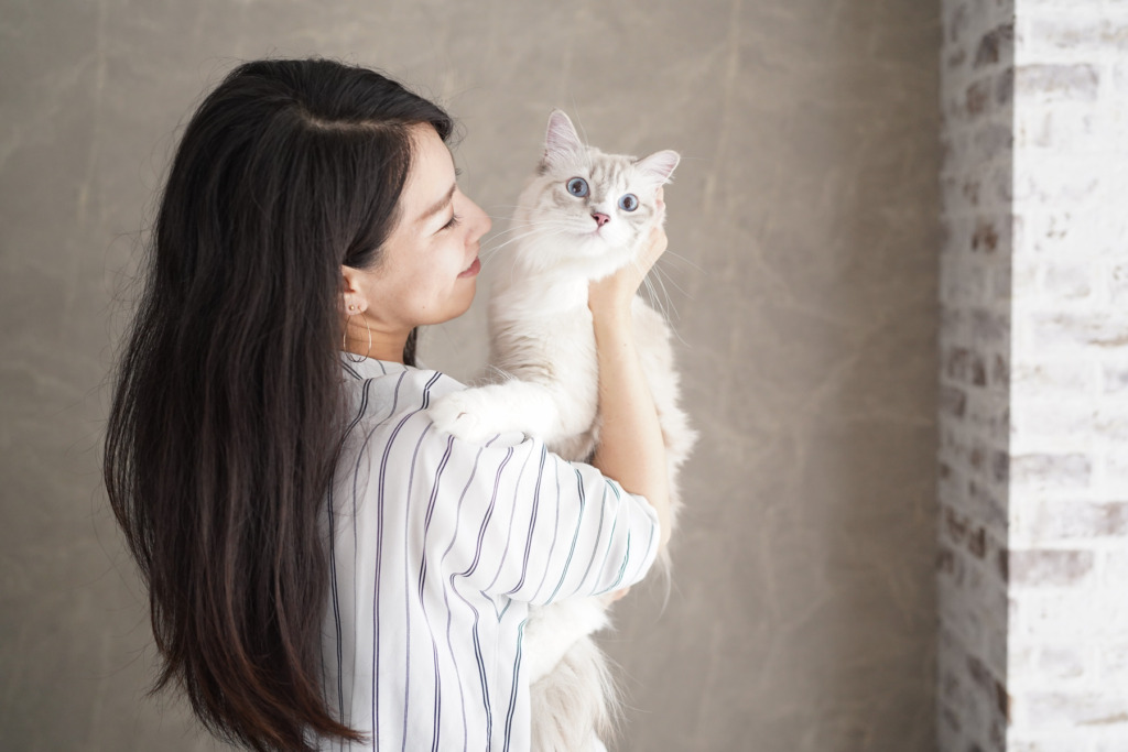 撮影PLANまとめ｜STUDIO SIO-品川区のペット専門写真館