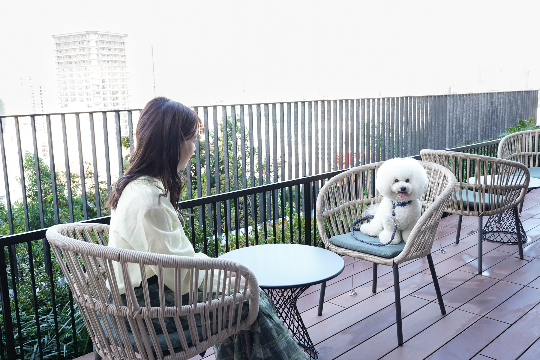 星野リゾートからお散歩で行けるお店情報まとめ｜STUDIO SIO-品川区のペット専門写真館 | ペットと家族の写真館 STUDIO SIO